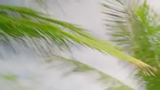 Hotel Paradise 8: Pierwsze Rajskie Rozdanie w nieznanej dotąd formule ...