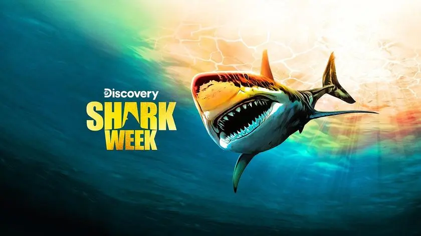 Uwaga, rekiny! Shark Week nadciąga na antenę Discovery Channel - TVN