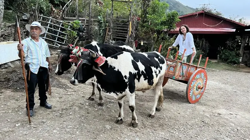 Jestem z Polski: Czym zaskakuje Kostaryka? Zobacz 6 odcinek programu - TVN