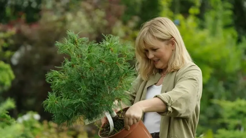 Mają ludzie podwórka: Jak dobrać rośliny do przestrzeni wspólnej? - TVN