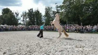 Co słychać?: Poznajcie Blankę Satorę - zaklinaczkę koni - TVN